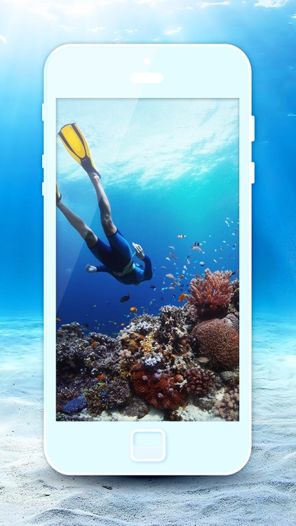 Underwater Wallpaper Gallery - Beautiful Sea Animals Backgrounds ...