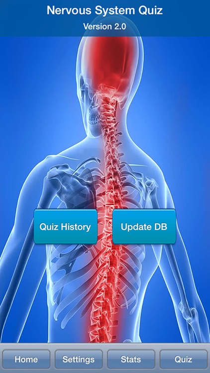 Human Biology : Nervous System Quiz by Coskun CAKIR