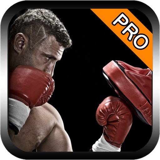 Street Boxing 3D Pro by Vahan Margaryan