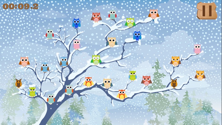 Owls - Learn fun facts about owls while finding matching pairs! by ...