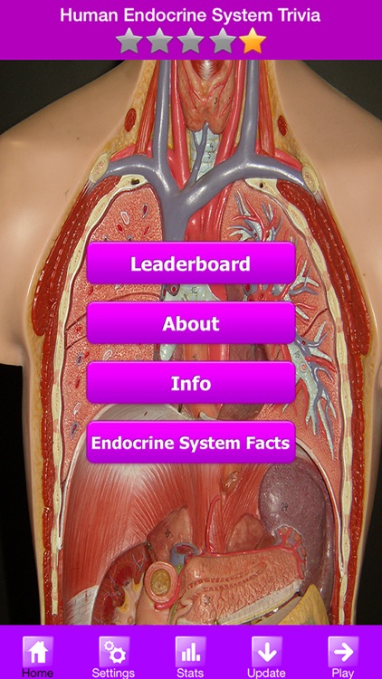 Human Endocrine System Trivia Game by Hasan Cakir