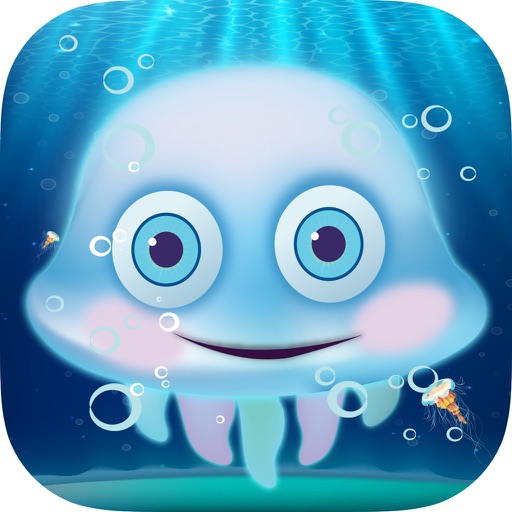 Jelly Trap by Moez Ali Co.Ltd