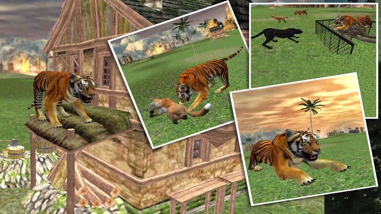Angry Tiger Attack Simulator 3D by Usman Shiekh