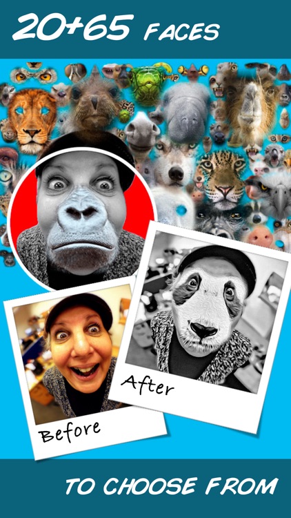 Animal Face Maker Pro - Crazy Photo Editor Booth by Green Elephant