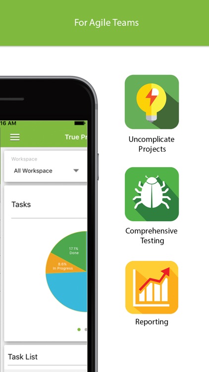 True Projects US by True Software, Inc