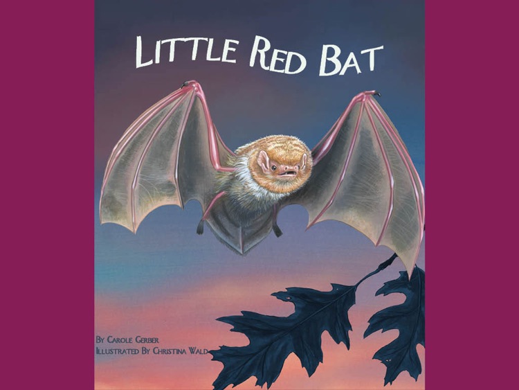 Little Red Bat by Arbordale Publishing, LLC