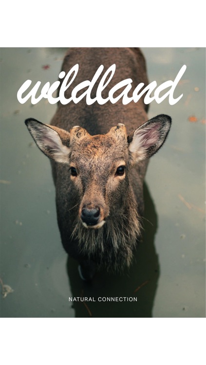 Wildland Magazine by PressPad Sp. z o.o.