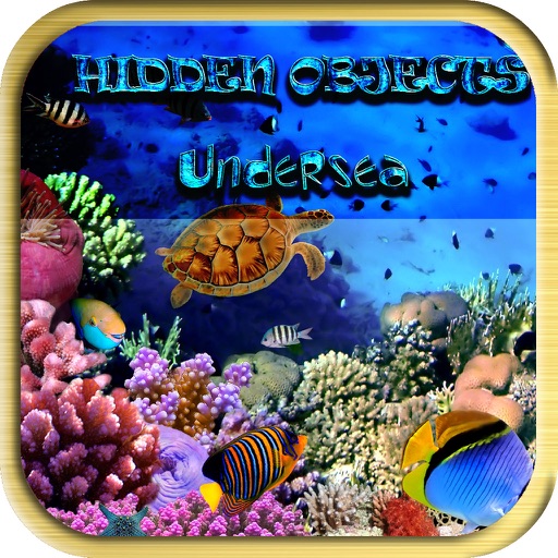-Hidden objects Undersea- by sandeep mohan