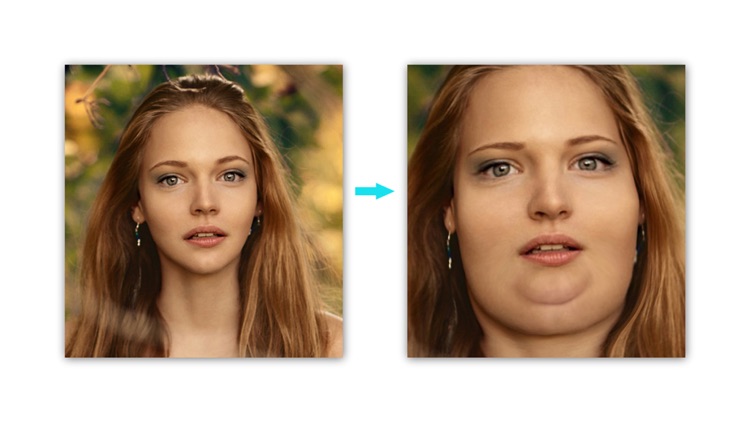 Face Fat Tool - Make You Look Ridiculously FAT by Haiwen Soft, Inc.