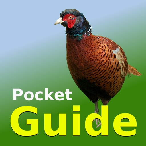 Pocket Guide UK Game by Senet Mobile UK
