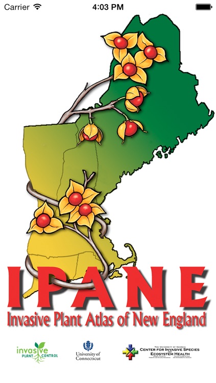 Invasive Plant Atlas of New England by Charles T. Bargeron