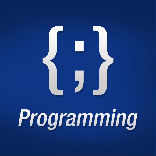Programming Terminology Glossary by Space-O Infoweb