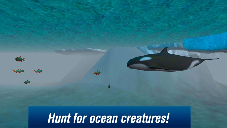 Killer Whale: Orca Simulator 3D Free by Games Banner Network