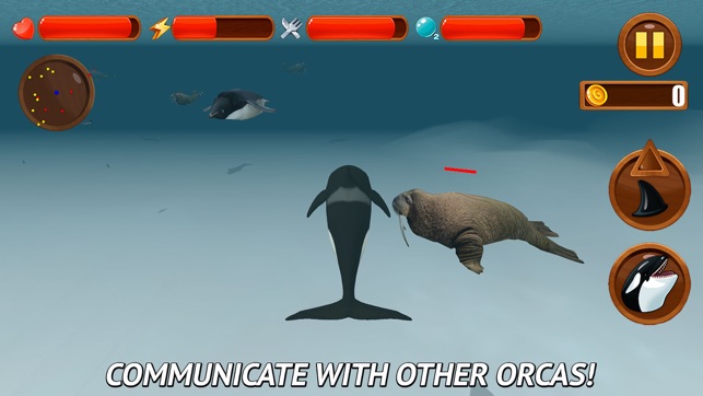 ‎在 App Store 上的「Angry Killer Whale: Orca Simulator 3D」