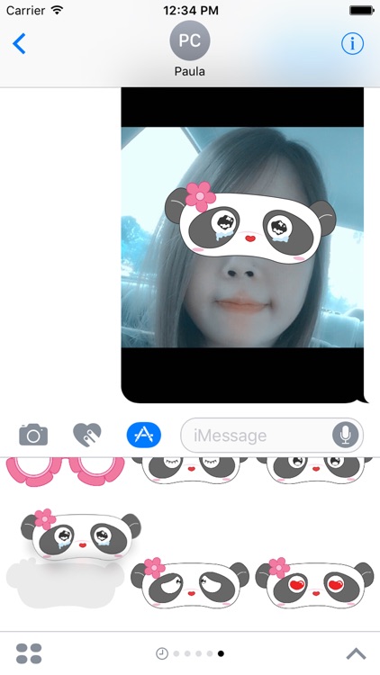 Pandi & Pando Stickers for iMessage by vince chen