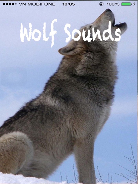 Wolf Sounds - Gray wolf Sounds - AppRecs