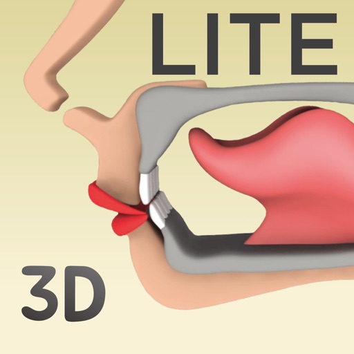 3D Phonetics: The Visual Sound Database of American English (Lite) by ...