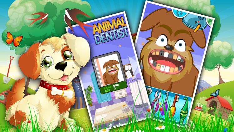 Vetrinar Dentist For Animals: New ״Surgery Specialist Of Dental״ Kids ...