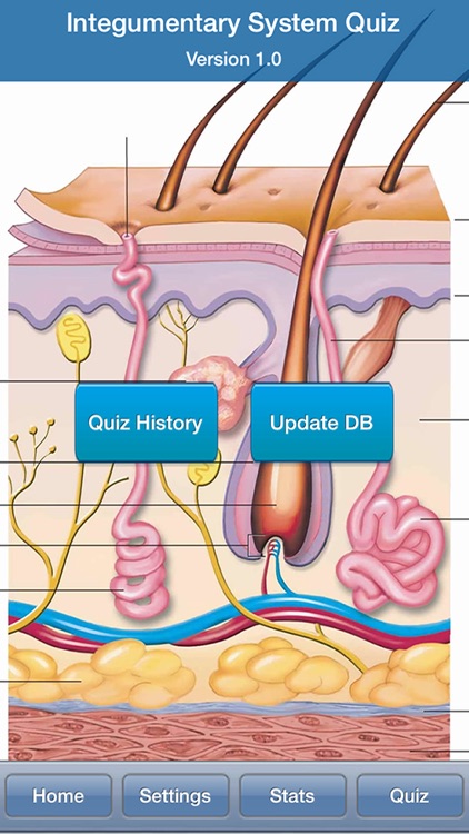 Human Biology : Integumentary System Quiz by Coskun CAKIR