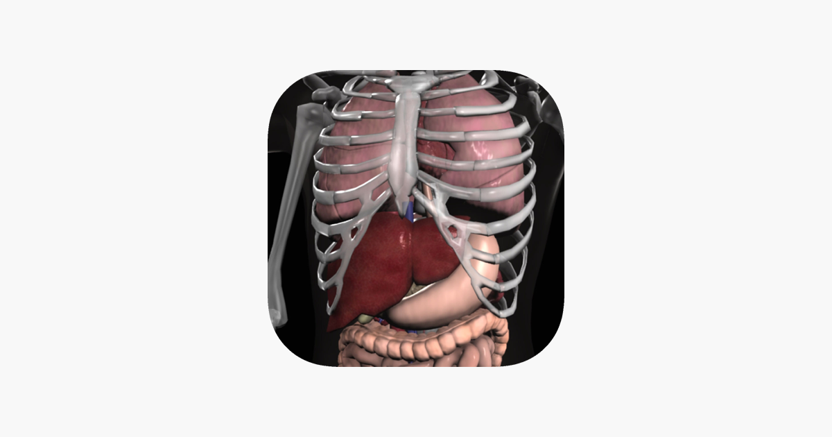 ‎App Store 上的“Anatomy 3D: Organs”