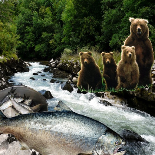 Guzzling Grizzlies by Jeffrey Cripe