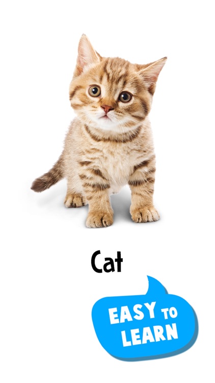 Baby Flash Animal Clip Cards by Sano Ko