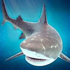 Shark Survival | Great Water World Evolution Game For Free Requirements ...