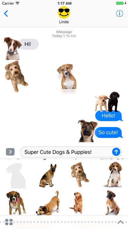 Real Dogs! Cute Puppies! by Abay Imanberlin