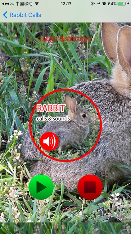 Rabbit Real Hunting Calls & Sounds by Jing Ren