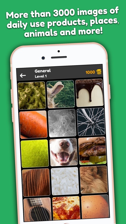 Zoom Quiz Game: Guess The Pics by Kingim