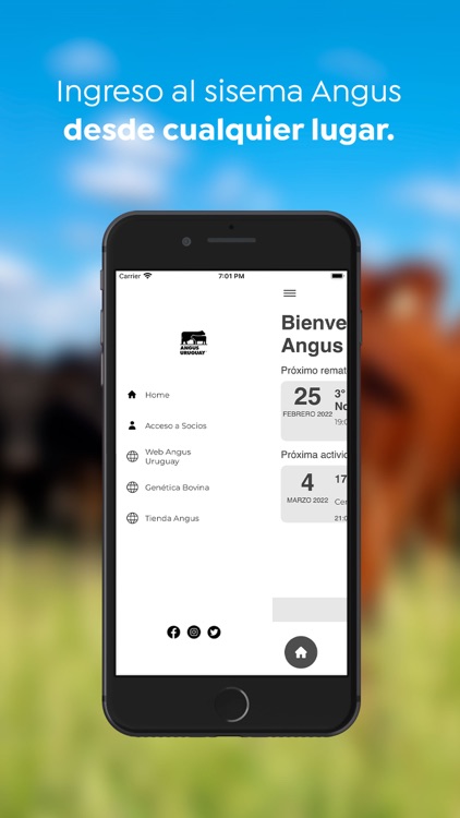 ANGUS URUGUAY by Juan Vilaro