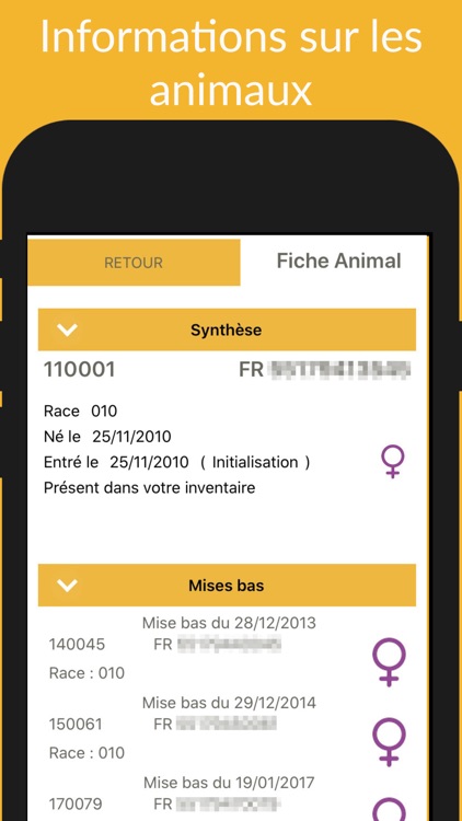 Synel Ovin Caprin by SAS SYNEL