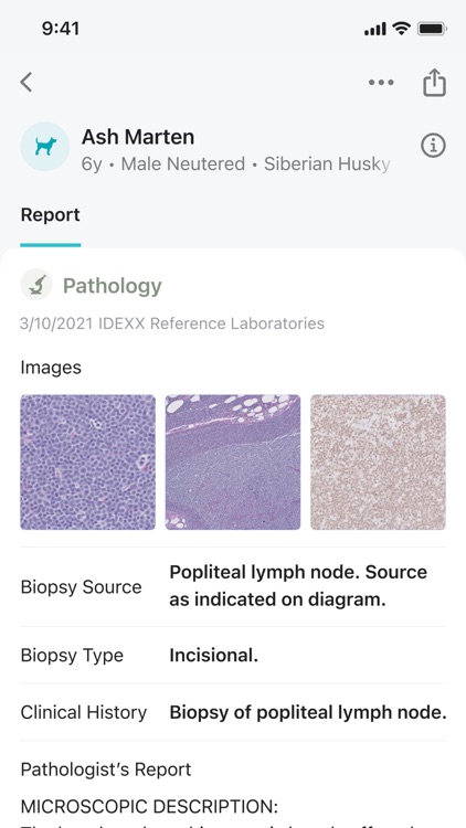 IDEXX VetConnect® PLUS by IDEXX Laboratories