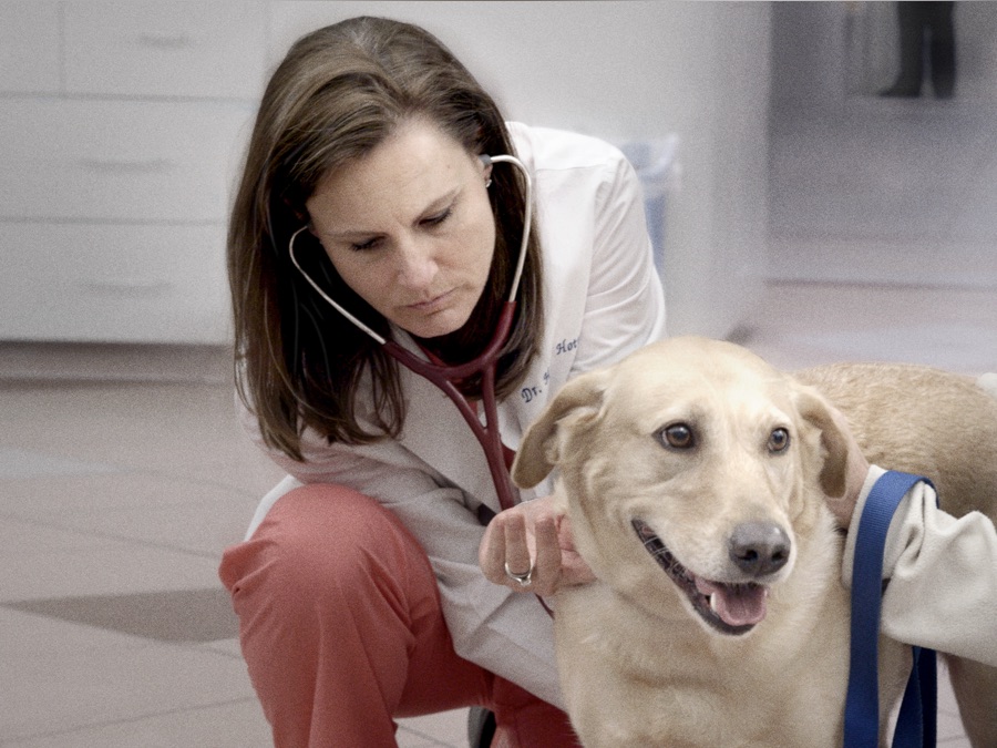 Animal ER | Apple TV