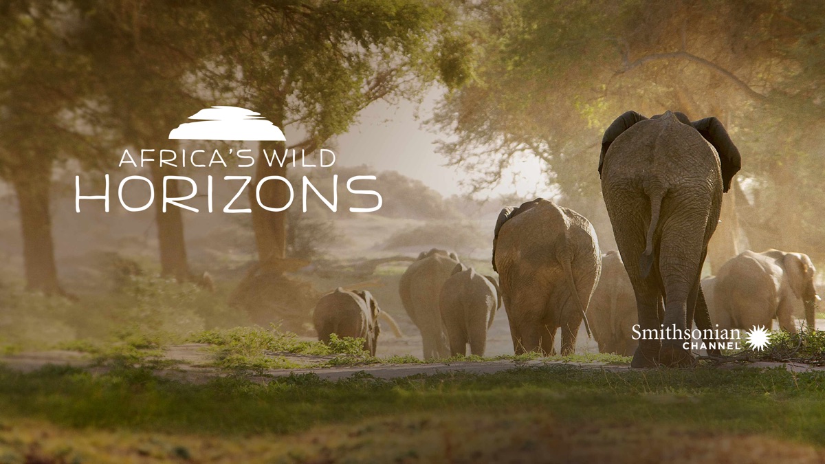 Africa's Wild Horizons | Apple TV