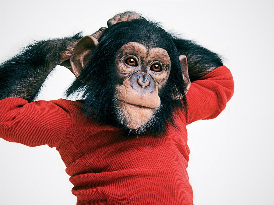 Project Nim | Apple TV