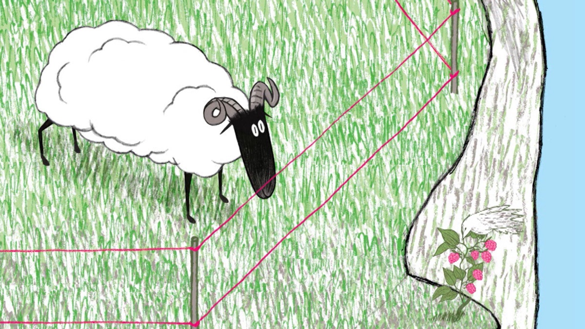 Brigitte la brebis qui n’avait peur de rien et Michel le mouton qui n ...