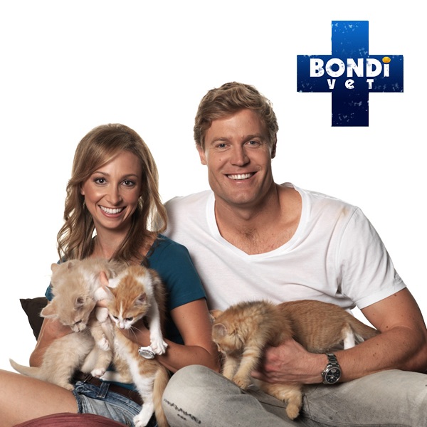 Bondi Vet, Season 4 on iTunes