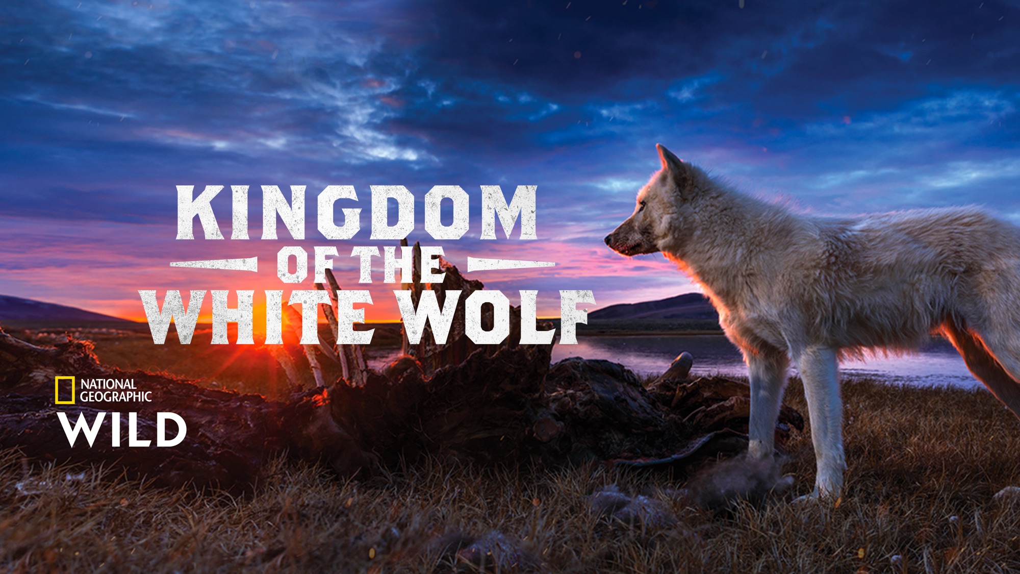 Kingdom of the White Wolf | Apple TV