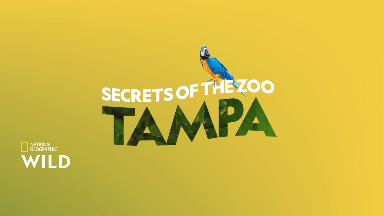 Secrets of the Zoo: Tampa | Apple TV