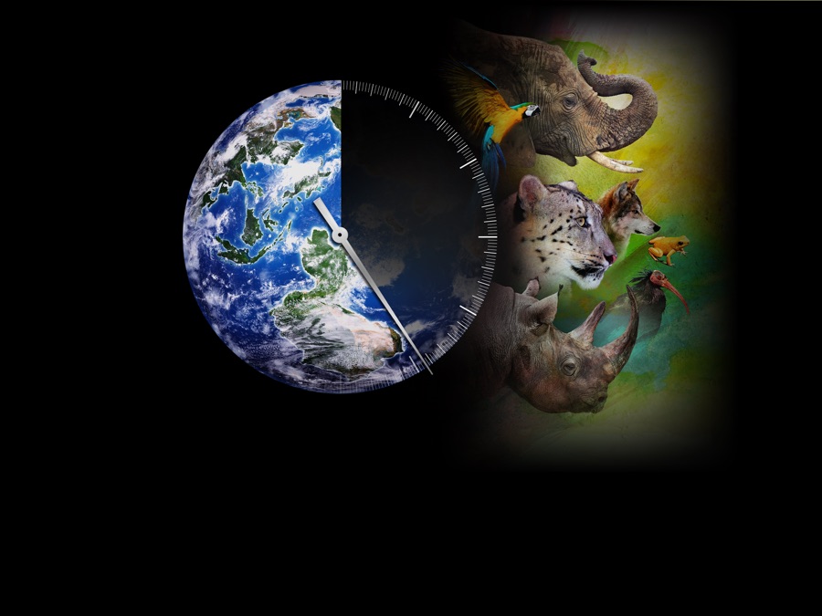 Racing Extinction | Apple TV (EE)