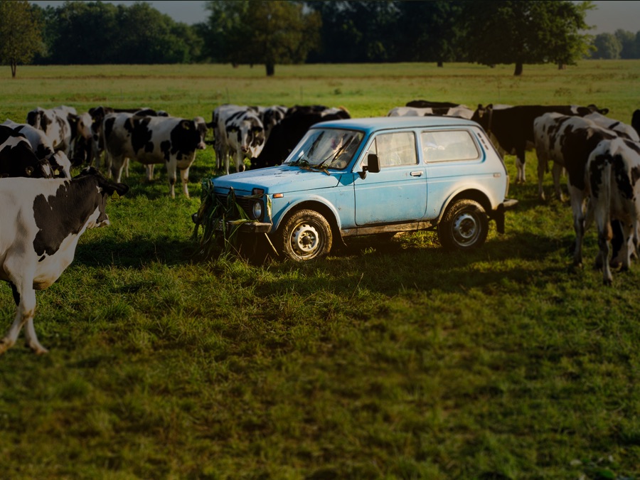 Goodbye Berlin | Apple TV (FR)