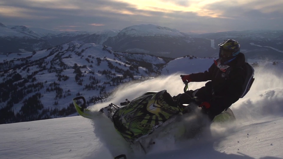 509 Films, Volume 10 | Apple TV