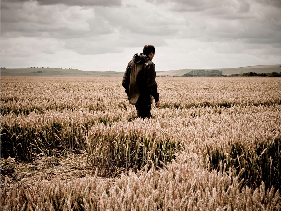 A Field Full of Secrets | Apple TV