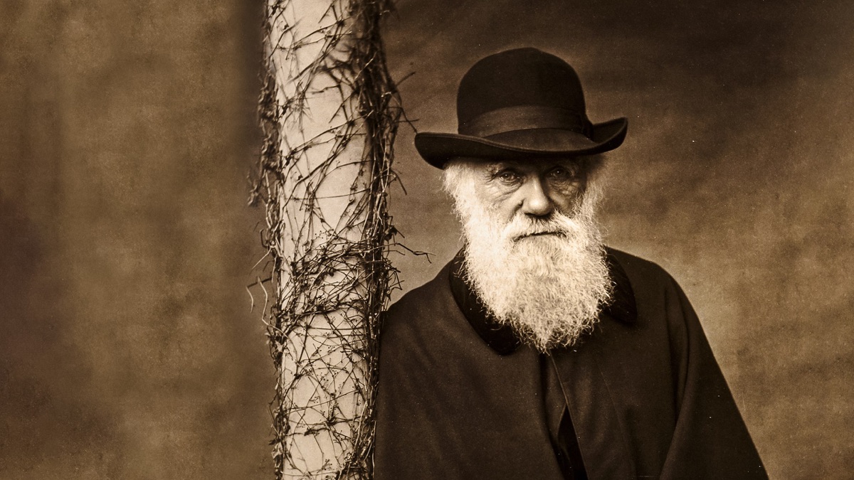 Questioning Darwin - Apple TV