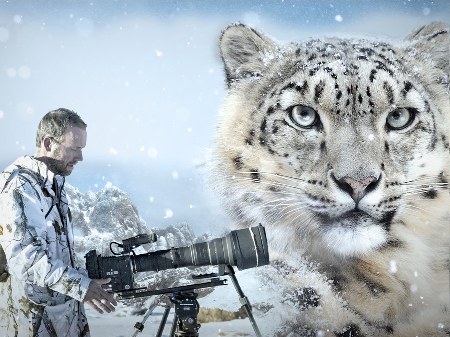 Disneynature: Ghost of the Mountains | Apple TV (BR)