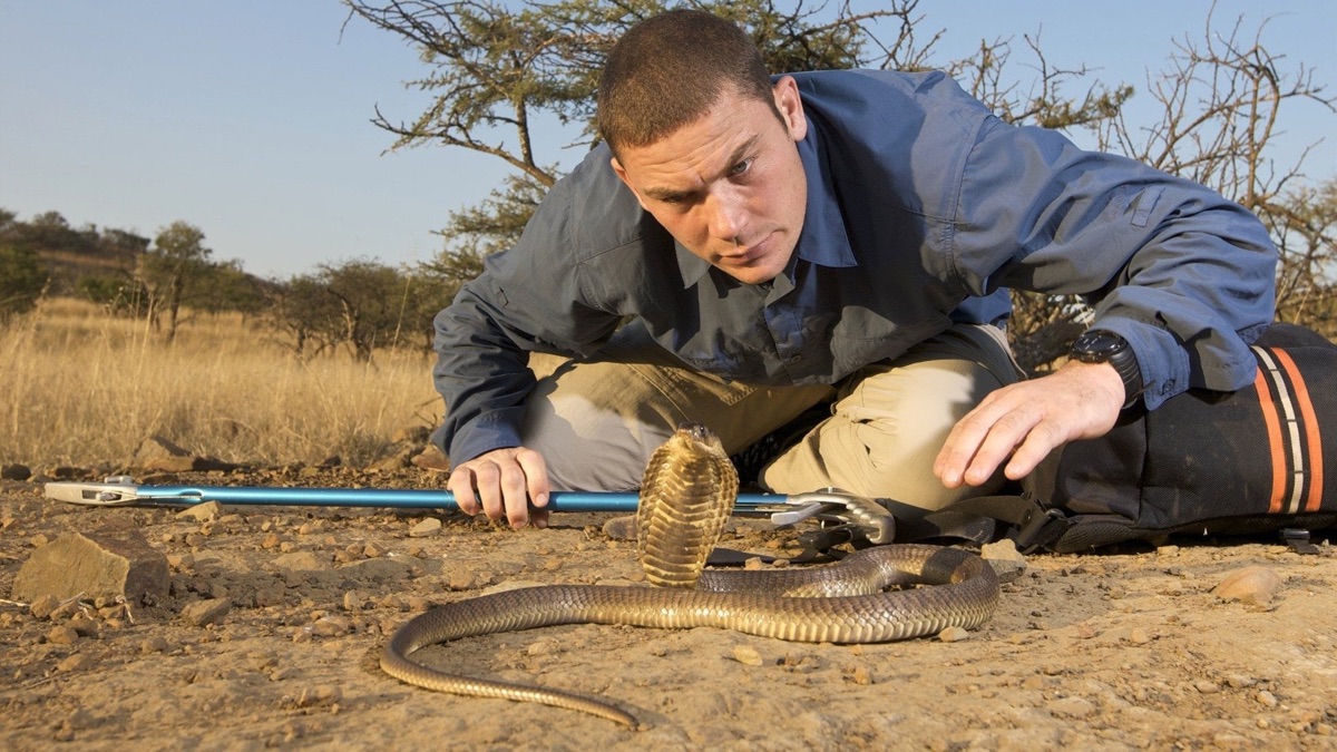 Venom Hunter with Donald Schultz | Apple TV (UK)