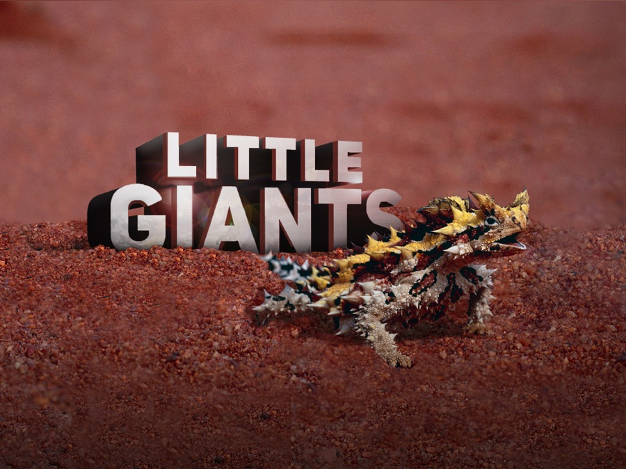 Little Giants - Apple TV