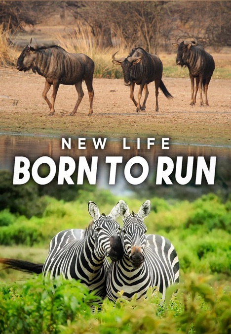 New Life: Born to Run | Apple TV