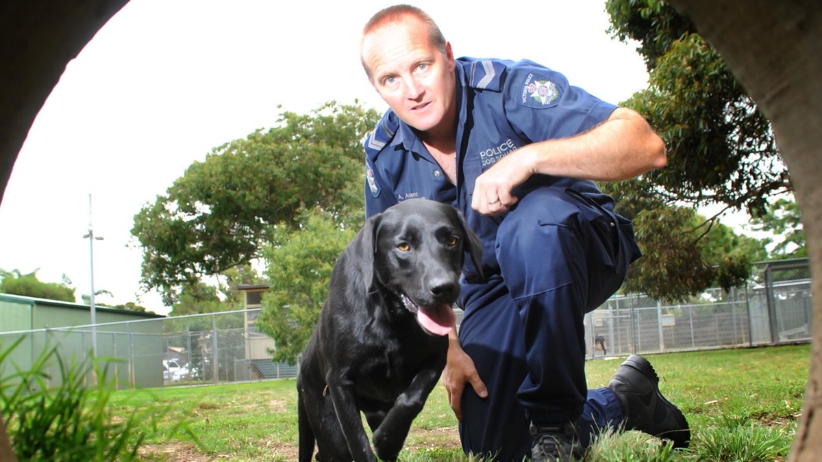 Send In The Dogs Australia - Apple TV